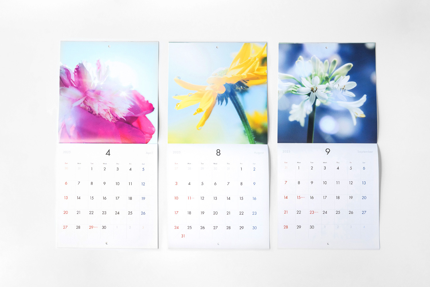 POLA 2025 calendar | 株式会社Rockaku｜コピーライター事務所